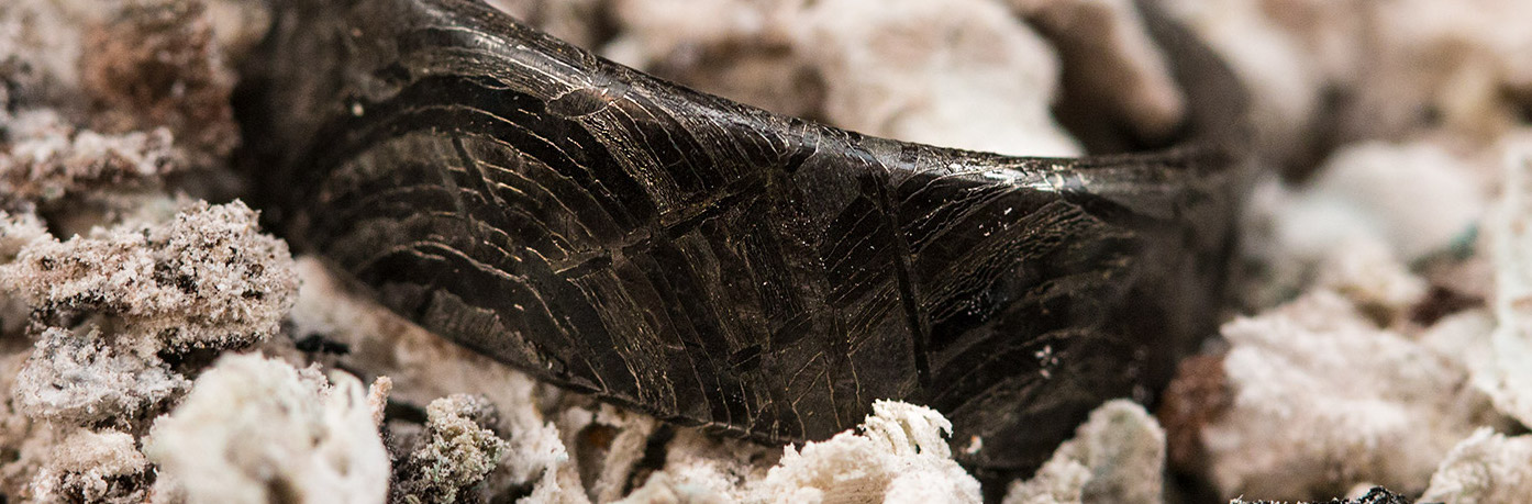 Meteorite Rings Are Made For Occasional Wear | WatchinTyme